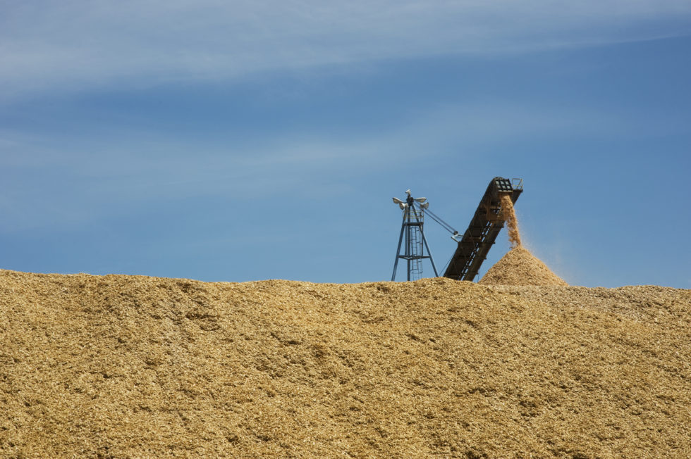 Dry Bulk - Bulk Handling | GrainCorp